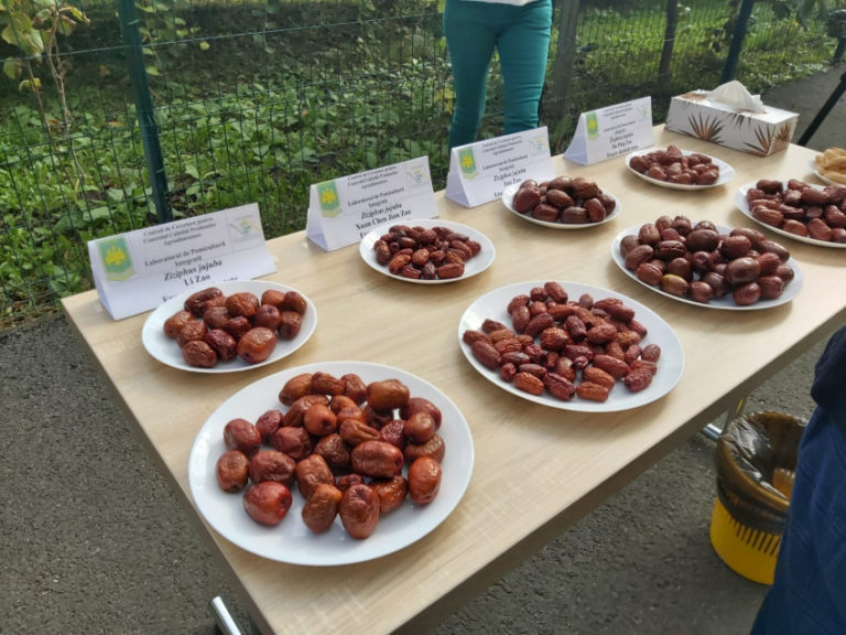 Poftiți la fructe exotice din România! – Rețete și vedete