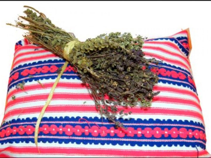 Fetelor, nu uitați să puneți busuioc sub pernă! Obiceiuri de Bobotează ...