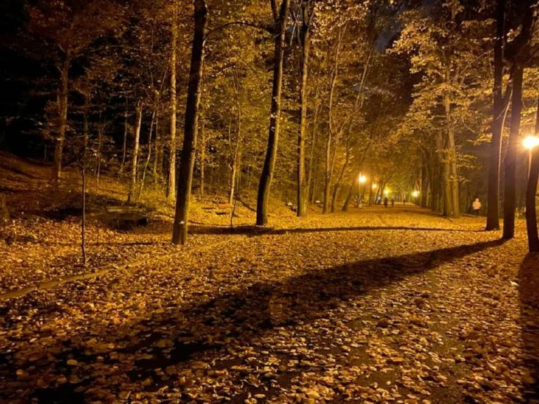 Fata fără cap din Pădurea Trivale. O poveste care dă fiori – Rețete și ...