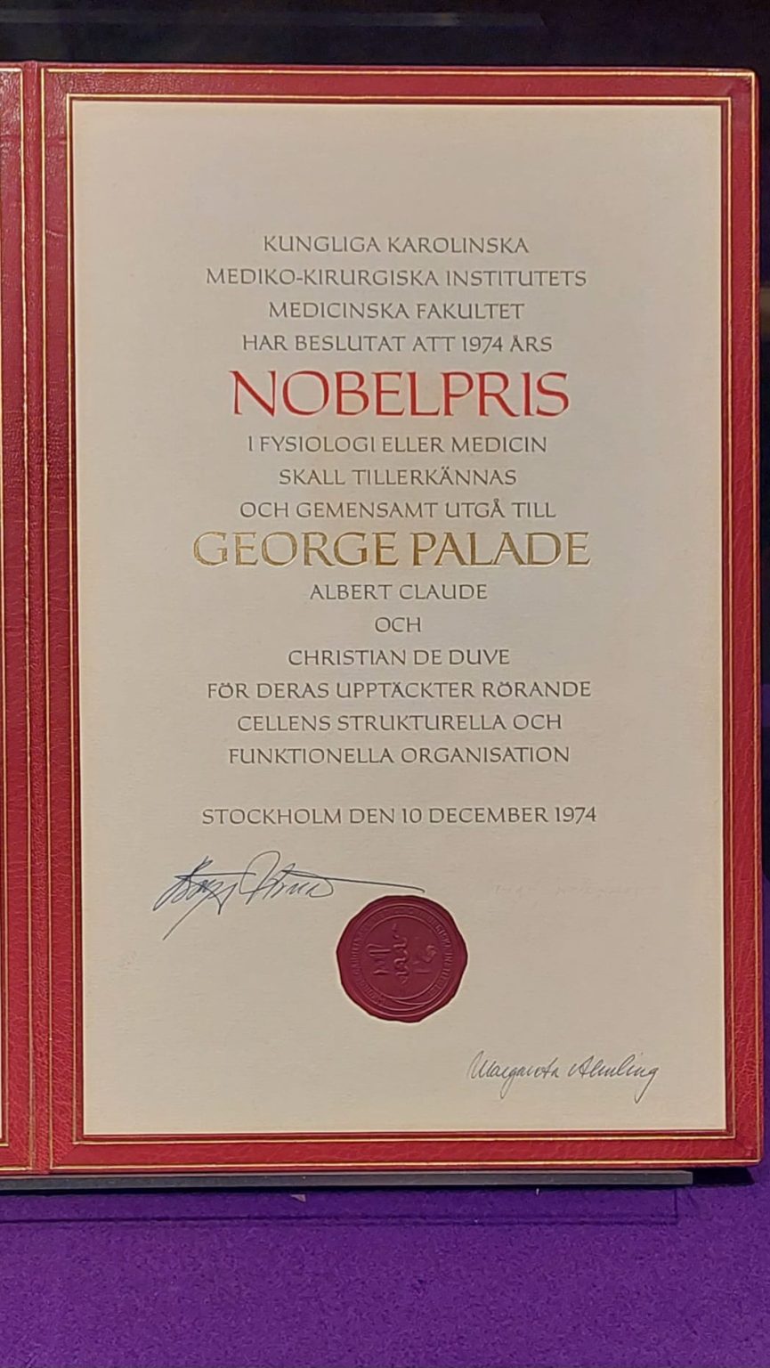 Un român genial, uitat de români. Cine a fost George Emil Palade ...